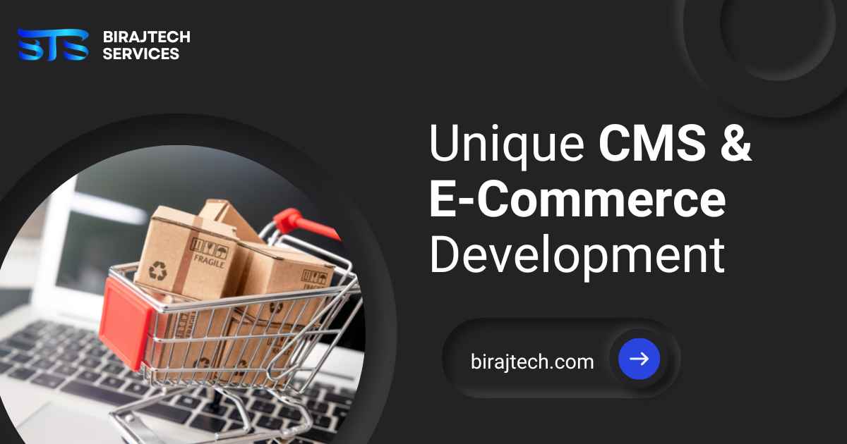 CMS & E-Commerce Development – Shopify, WordPress, Magento | BirajTech